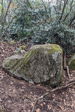 Risky Play Strengthens Mindfulness and Problem-Solving – Learning ...